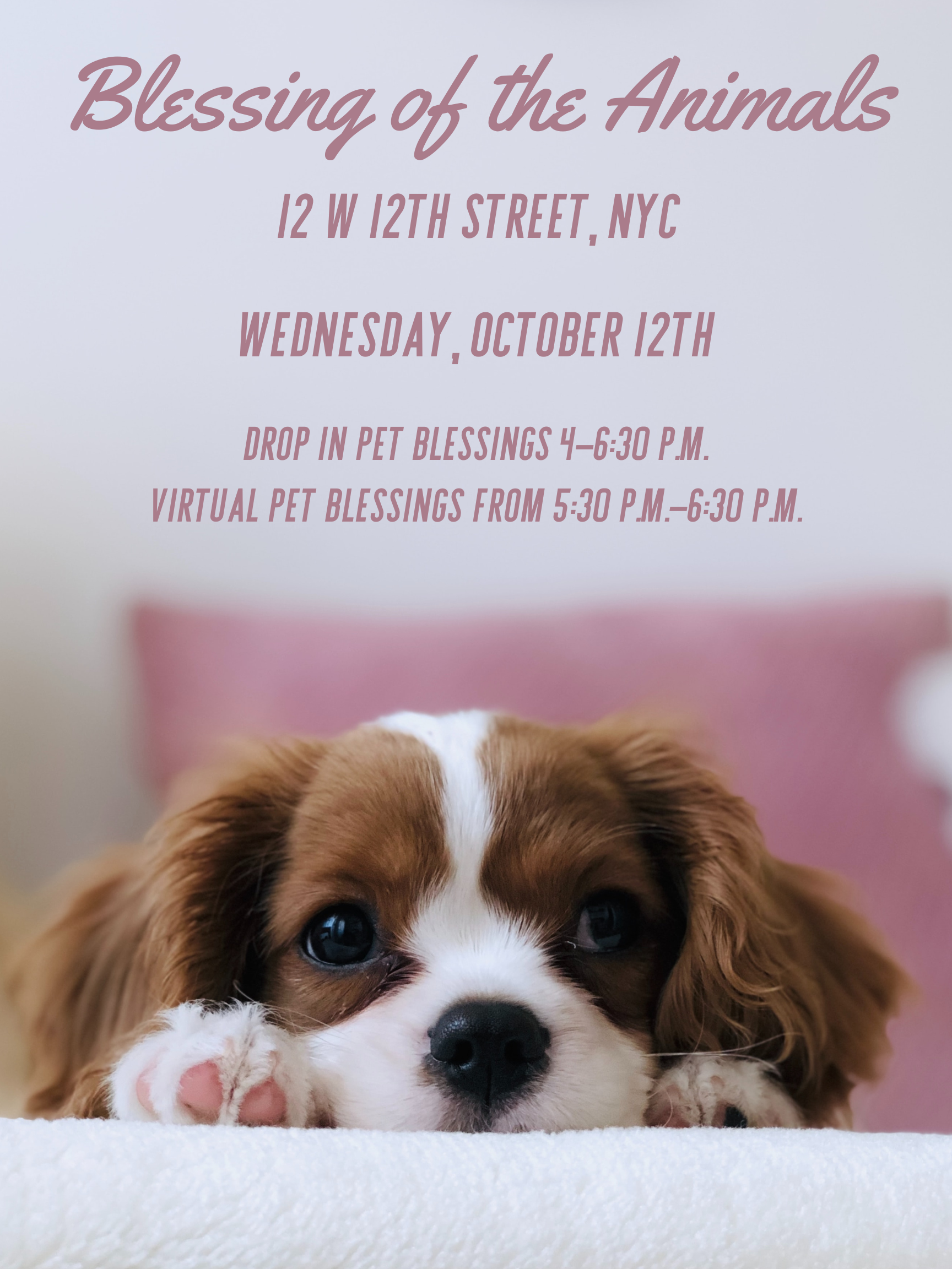 Blessing of the Animals 2022 - The First Presbyterian Church in the ...